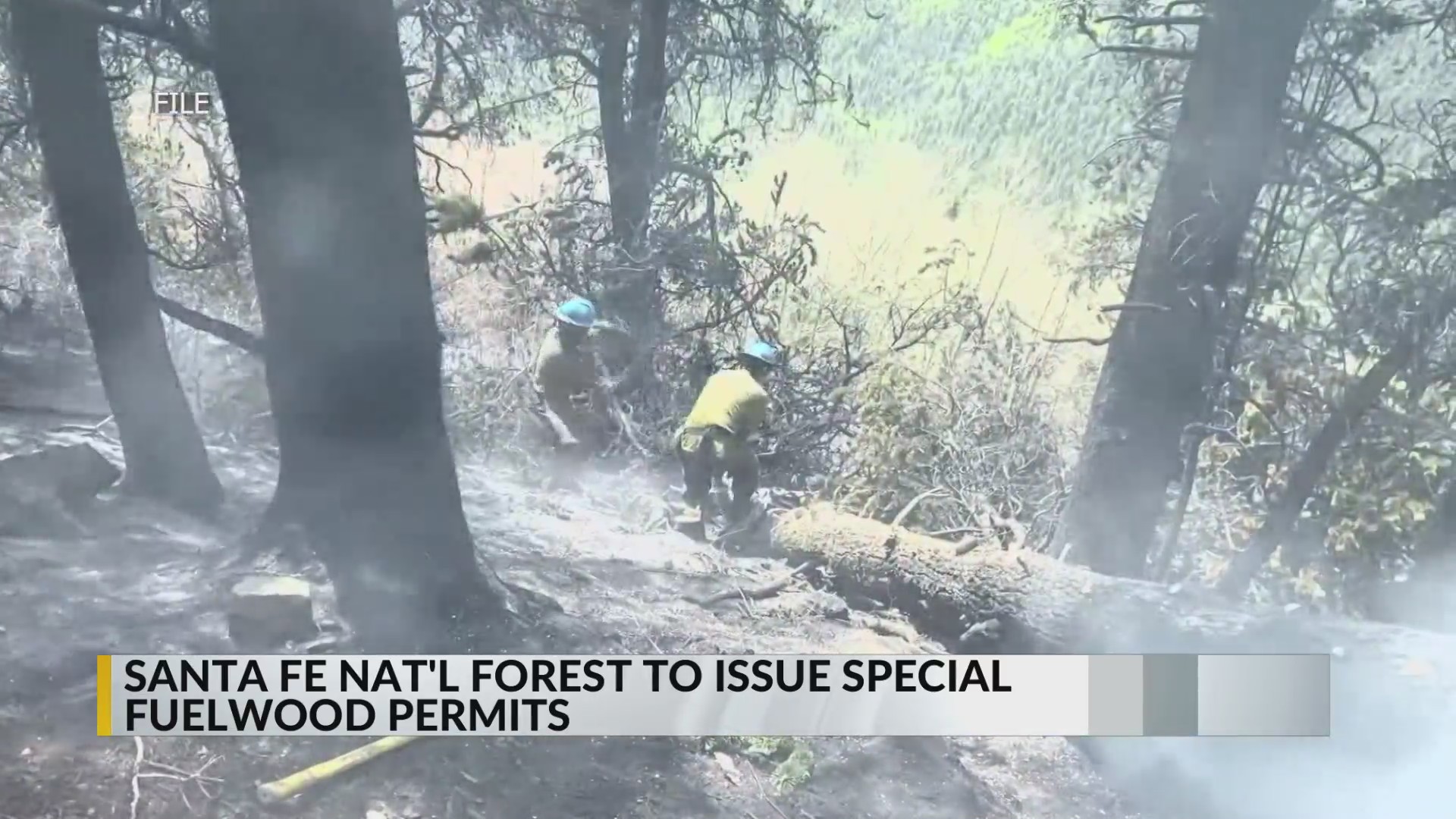 Special permits issued for Santa Fe National Forest firewood – KRQE ...
