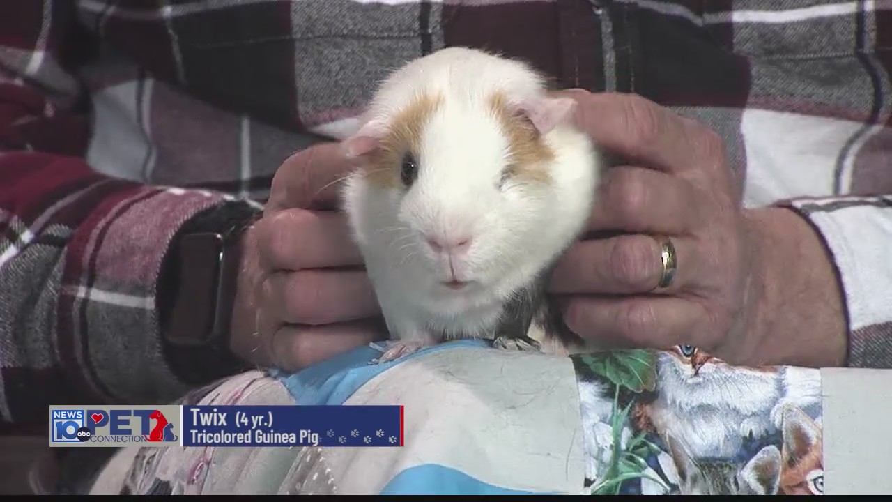 Twix – NEWS10 ABC