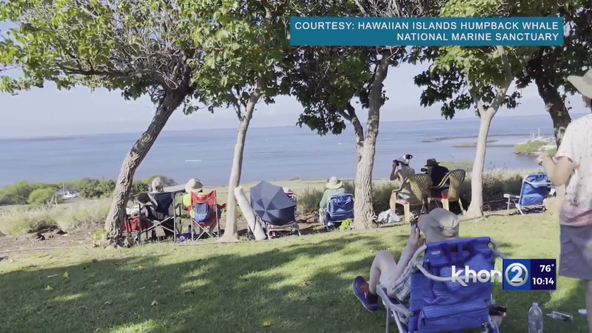 2,000+ kohola spotted during 2024 ocean count – KHON2