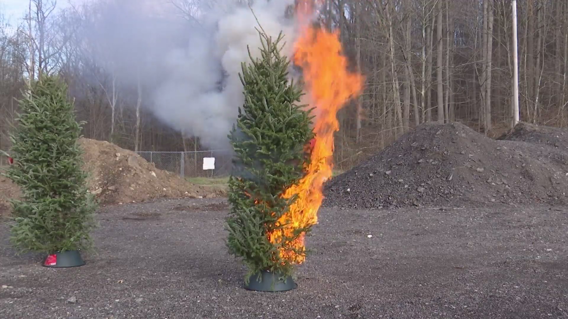 West Virginia fire department shares Christmas tree safety tips with ...