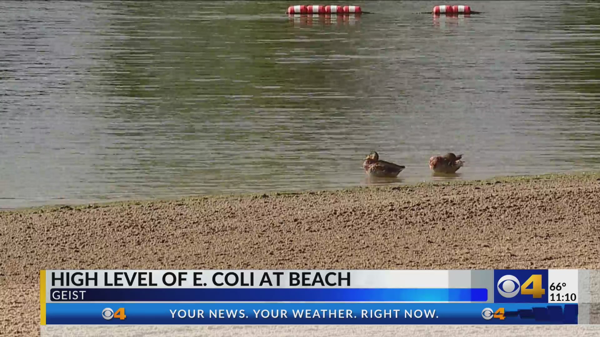 ‘Unsatisfactory’ levels of E. coli found at Geist Waterfront Park Beach ...