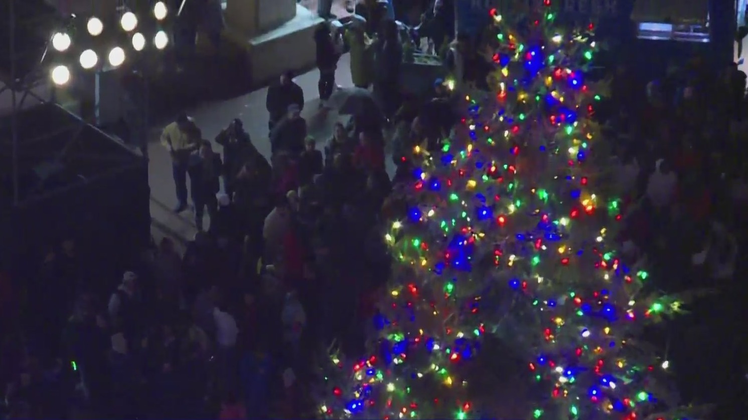 Lights! Camera! Santa! Portland holiday tree sparkles – KOIN.com