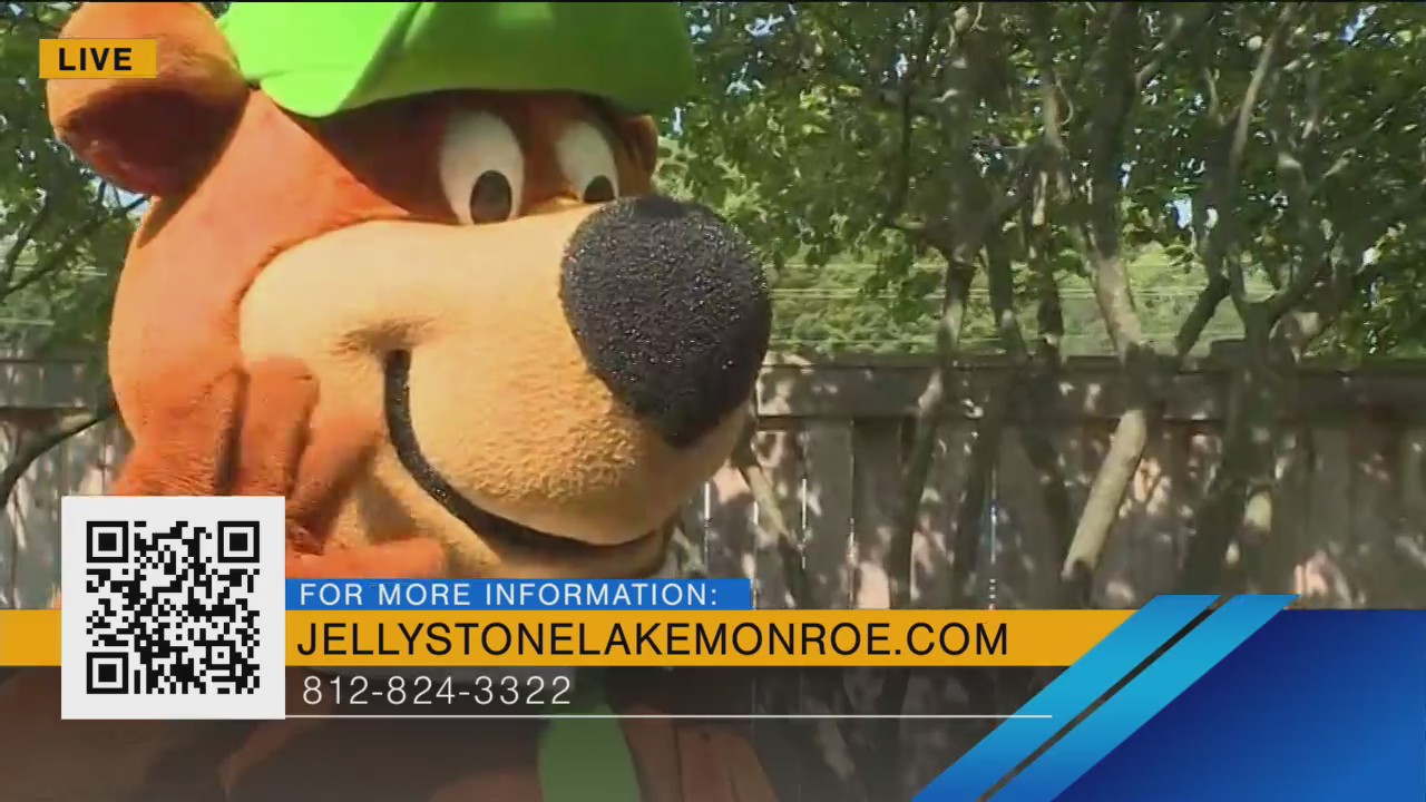 Indy Now, August 21st: Yogi Bear’s Jellystone Park at Lake Monroe – Fox 59