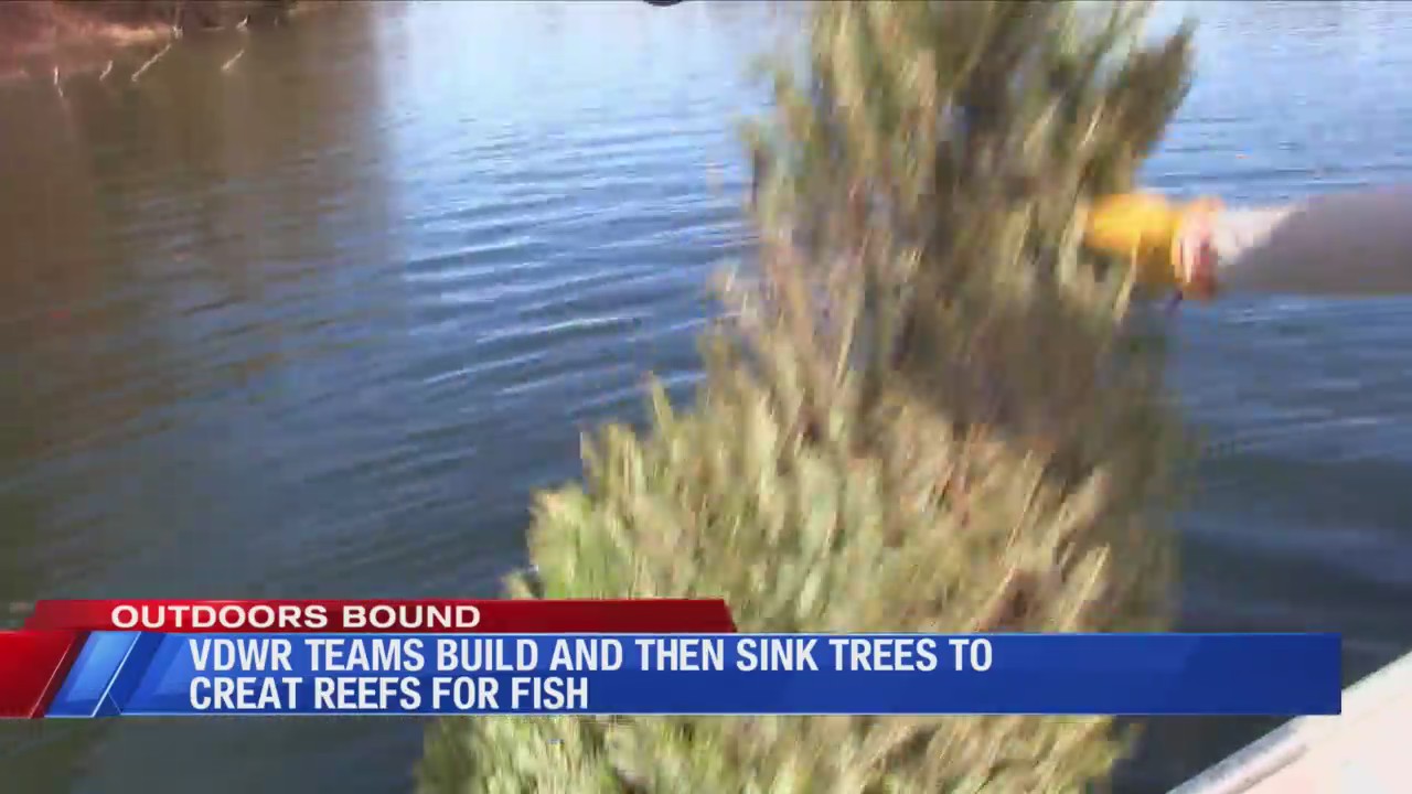 Christmas Tree Fish Habitats – WFXRtv