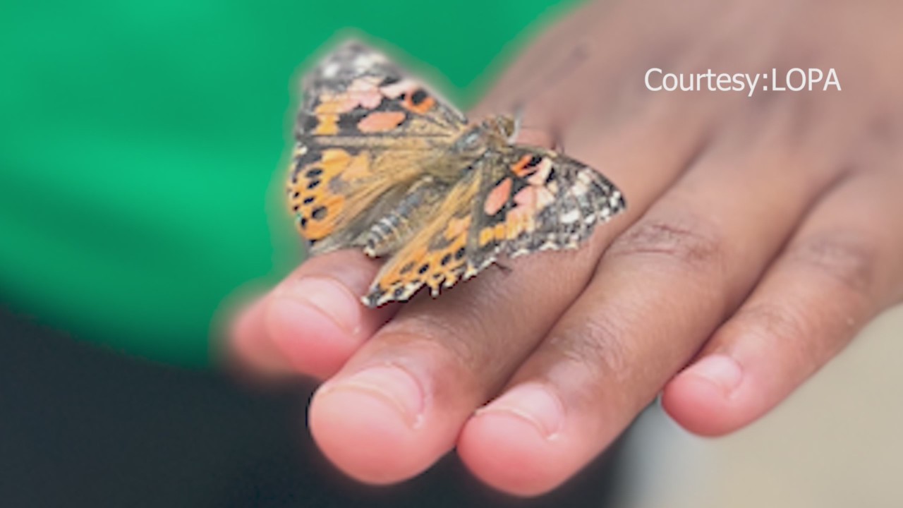 LOPA celebrates Donate Life Month – KTALnews.com