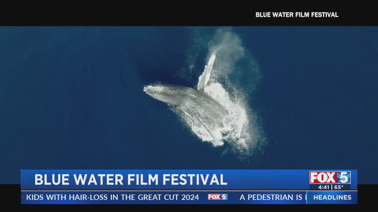 Watch: Blue Water Film Festival kicks off March 21 in San Diego – FOX 5 ...