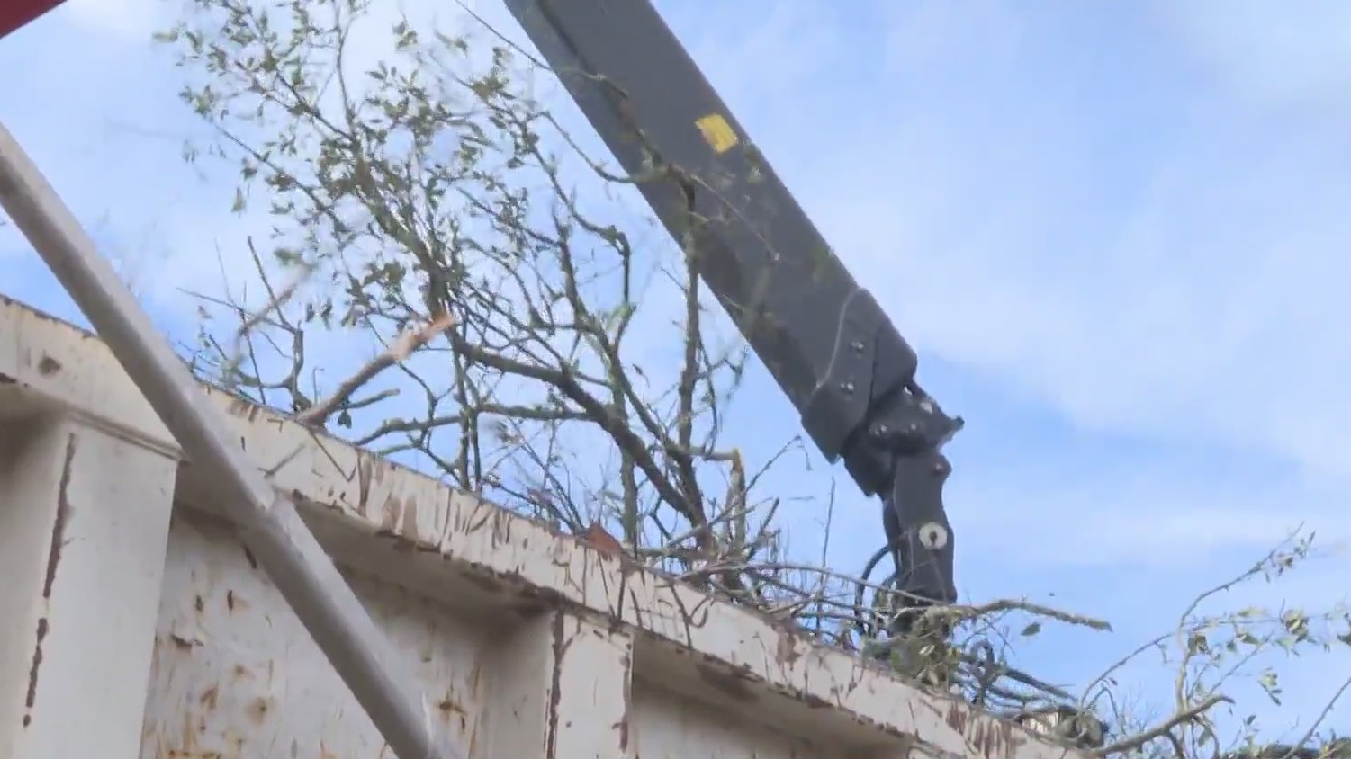 Downed tree limbs? How to find out who offers curbside pickup in your ...