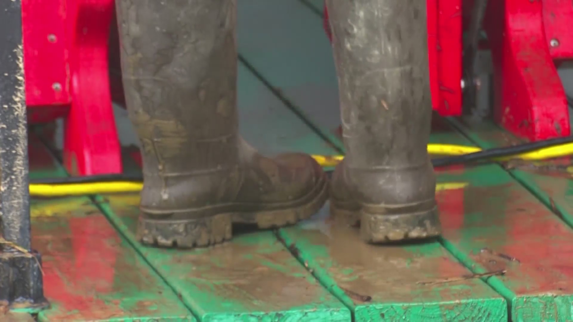 Tragedy in the Mountains: Brother, sister reunited months after ...