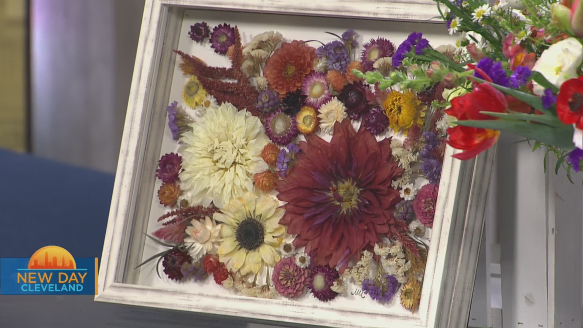 New Day Cleveland: Woodland Acre Flowers – Fox 8 Cleveland WJW