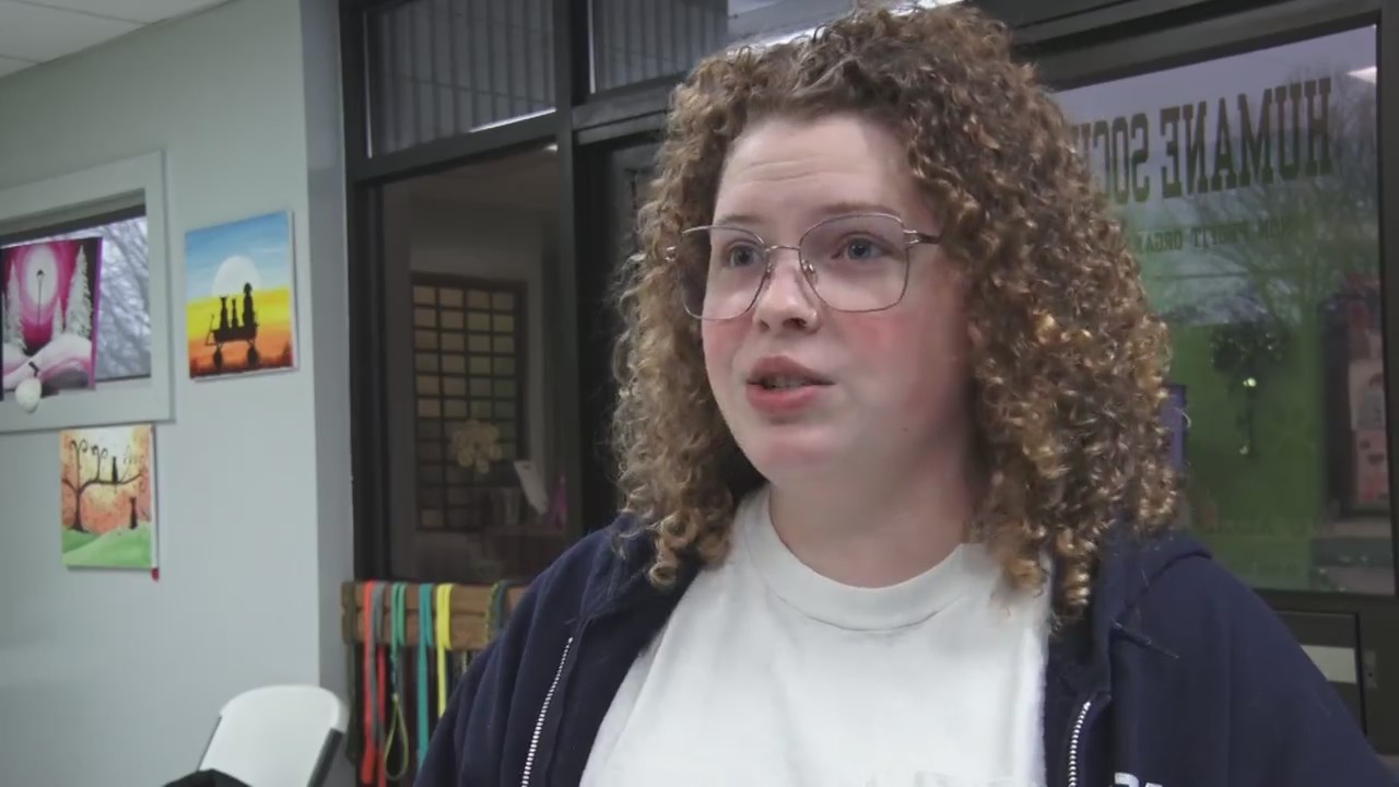 What is World Spay Day and why it is important? – WVNS