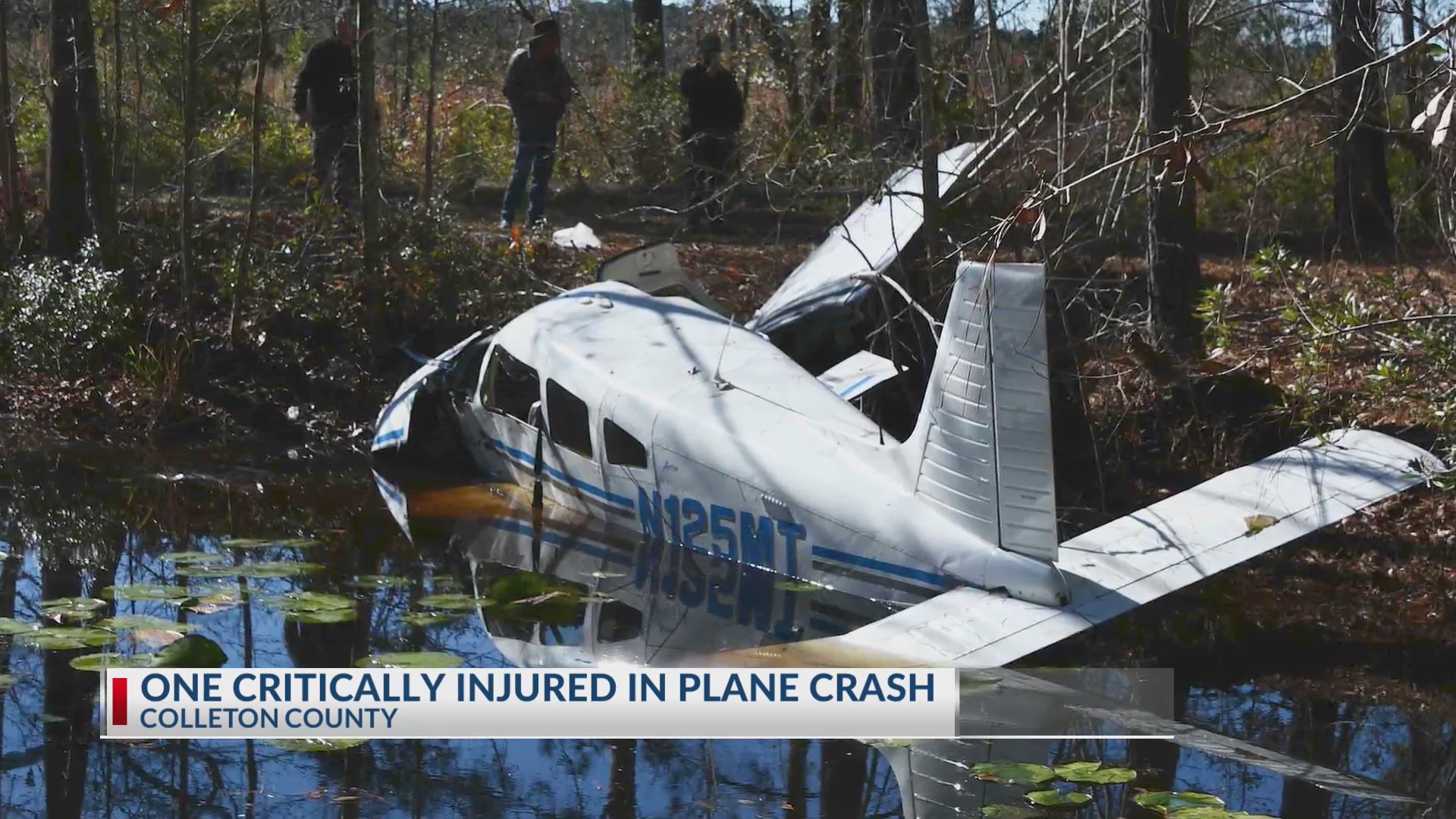 Pilot critically injured after small plane crash in Colleton County ...
