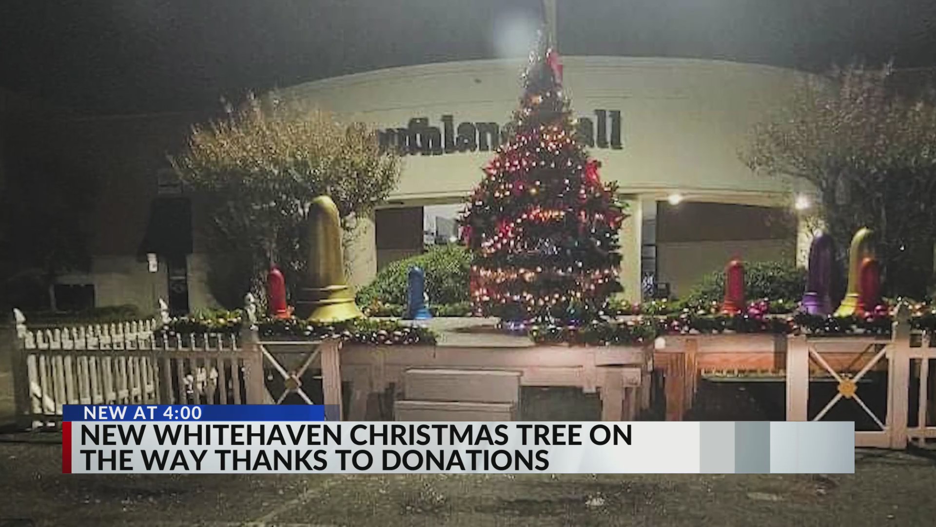 Whitehaven community pitches in for the perfect tree – WREG.com