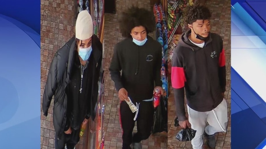 Purse-snatching robbers attack woman in the Bronx: NYPD – PIX11