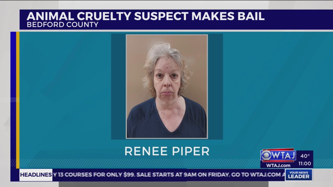 Woman accused in Bedford dog hoarding case makes bail – WTAJ – www.wtaj.com