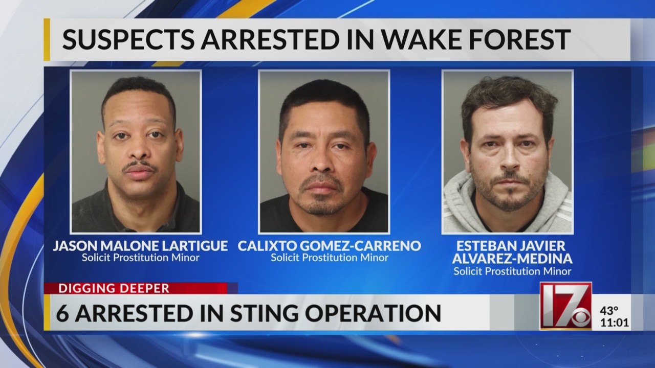 Six Triangle men charged in sting targeting child sex predators, human ...