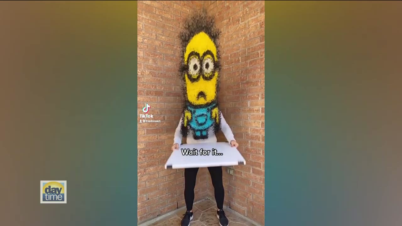 Fried Rice Art – WFLA