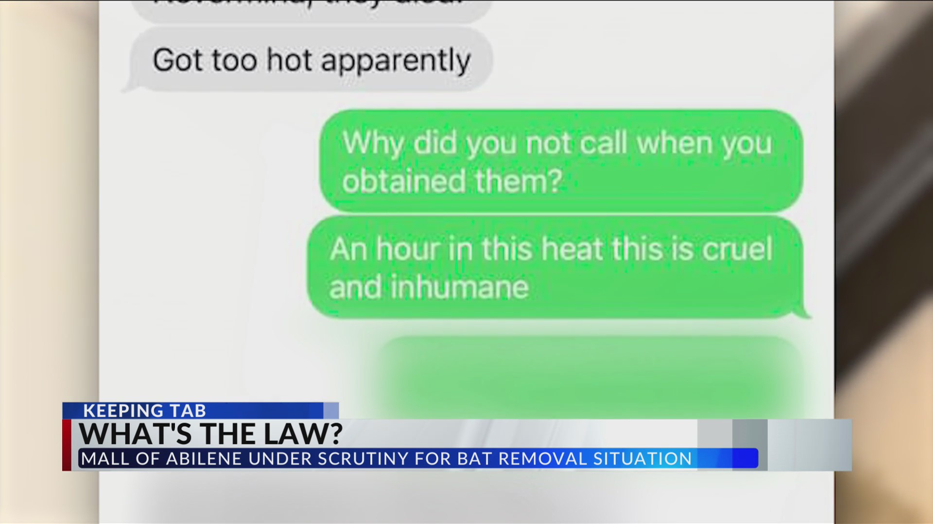 Mall of Abilene under scrutiny following alleged handling of bat ...