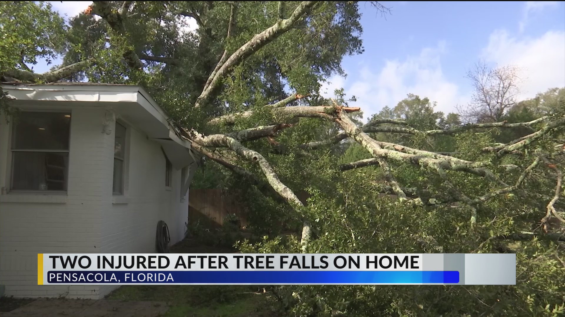 Tree falls on top of Escambia County home as couple was sleeping – WKRG ...