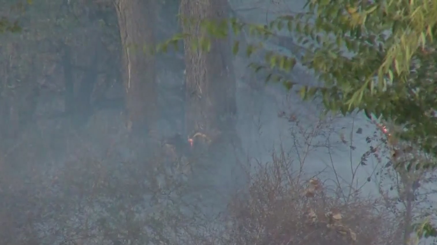 Officials respond to fire in ABQ bosque – KRQE NEWS 13 – Breaking News ...