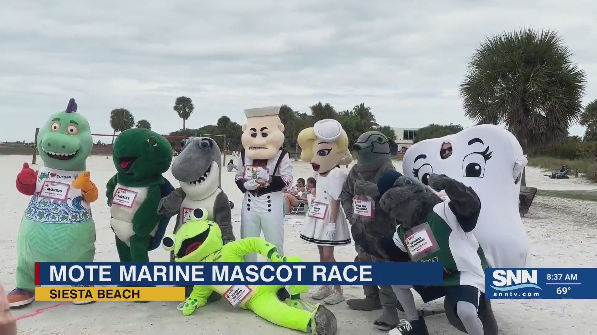 Mascots race for sea turtles at Siesta Beach – SNN News