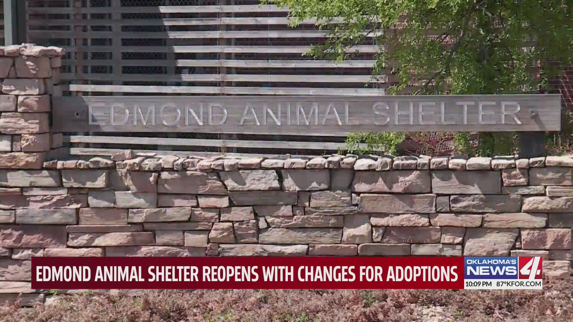 Edmond animal shelter reopens with changes for adoptions – KFOR.com ...