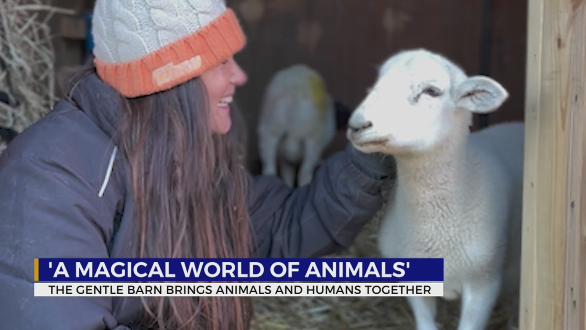 The Gentle Barn brings animals and humans together in TN – WKRN News 2