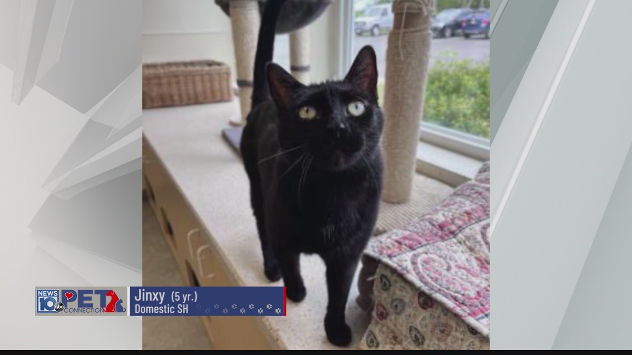 Jinxy – NEWS10 ABC