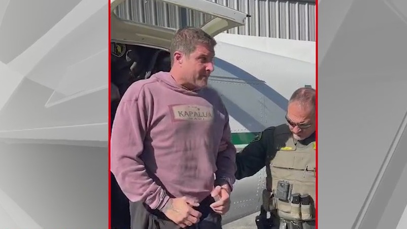 Ex-MLB player Daniel Serafini extradited to California in connection ...