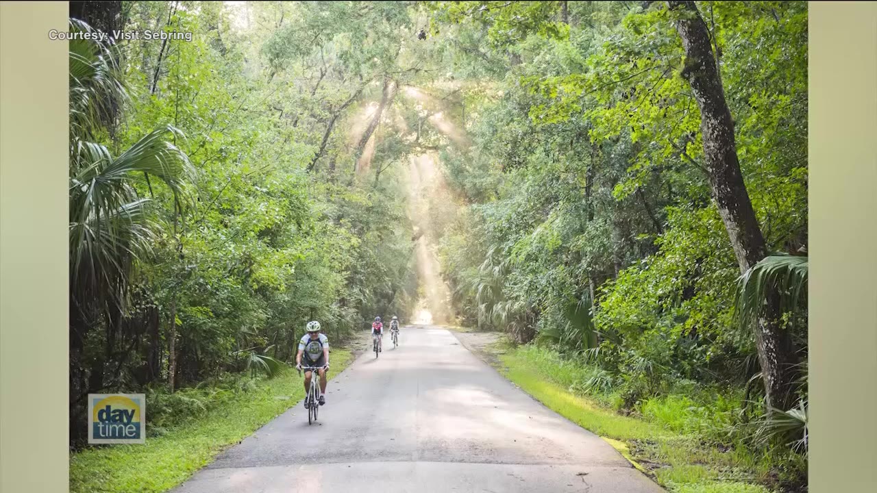 Last Minute Spring Break Ideas – WFLA