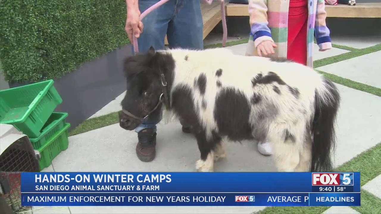Hands-On Winter Camps – FOX 5 San Diego & KUSI News