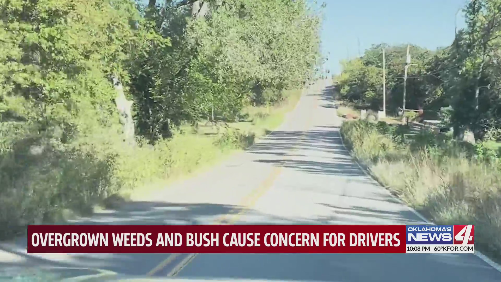 Overgrown weeds and bush cause concern for drivers – KFOR.com Oklahoma City