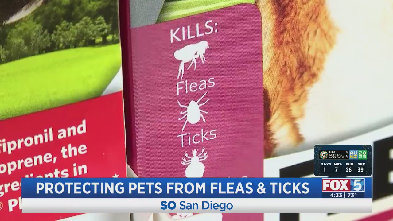 Protecting Pets from Fleas and Ticks – FOX 5 San Diego & KUSI News