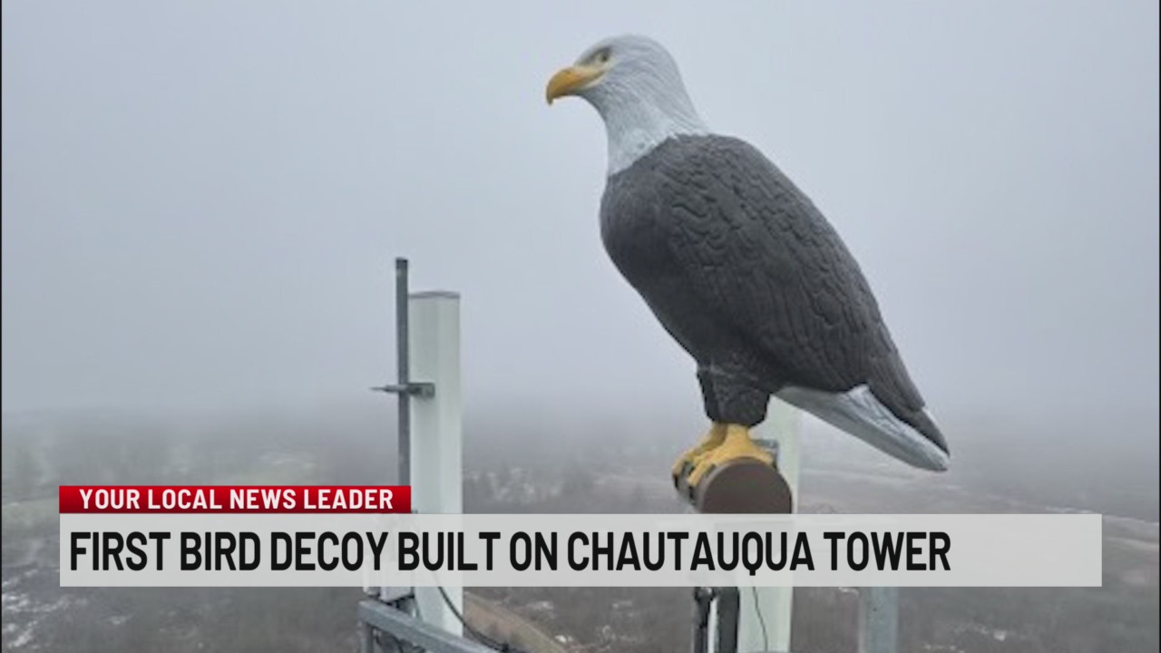 ‘Decoy eagle’ takes perch on WNY cell tower to prevent osprey nesting ...