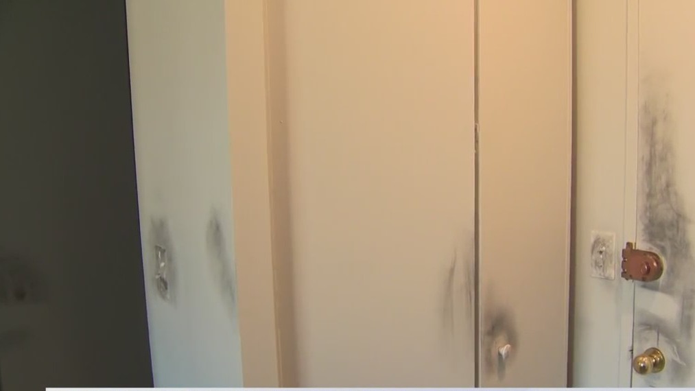 Manhunt for squatters who killed woman: officials – PIX11