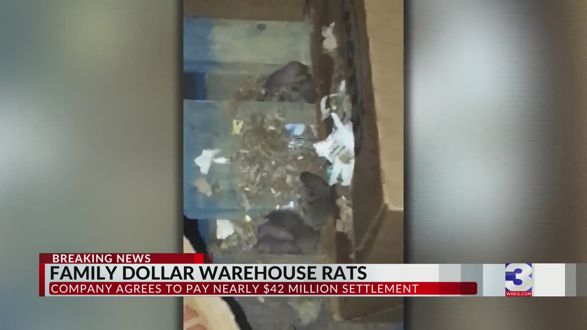 Family Dollar to pay $41M after rat infestation at West Memphis ...