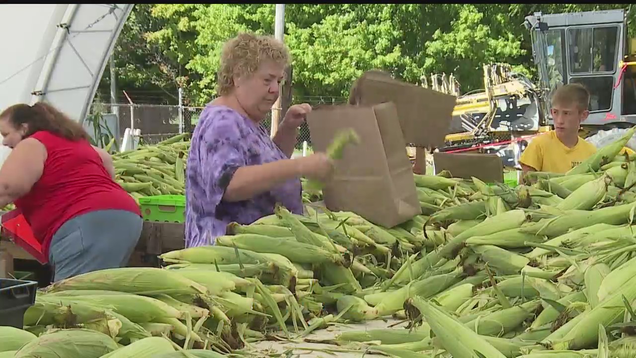 Sweet corn business, Eagle Ridge Farm, doing well in Mecca – WKBN.com