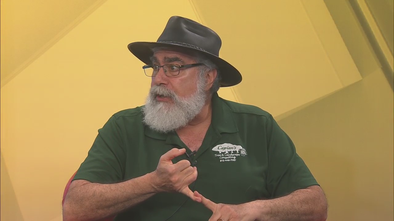 Larry Caplan is Up To His Elbows in Weeds – Eyewitness News (WEHT/WTVW)