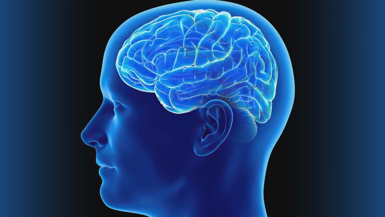 Calm mental health brand helps you focus at work – PAhomepage.com