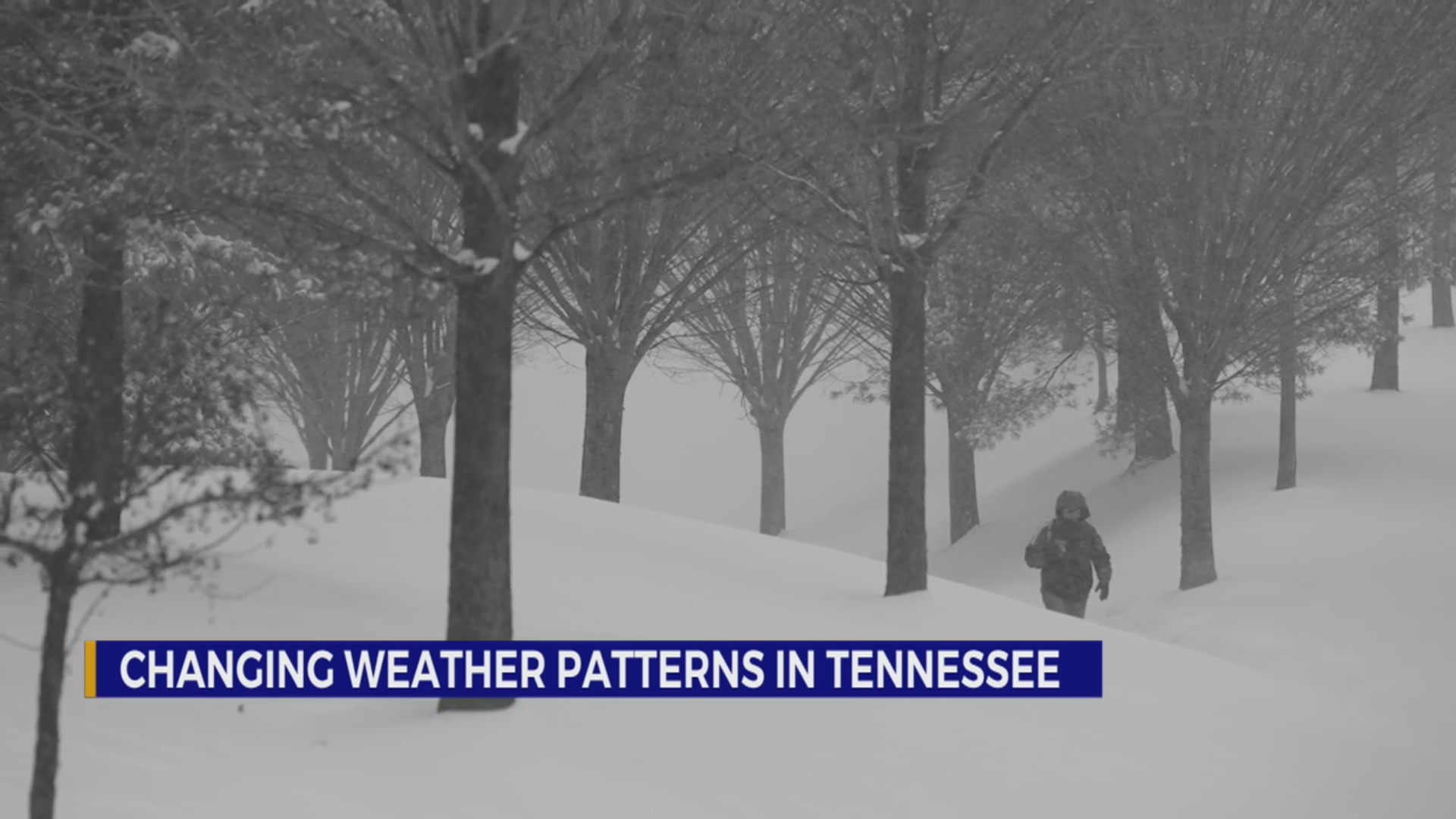 Weather patterns in Tennessee are changing – WKRN News 2