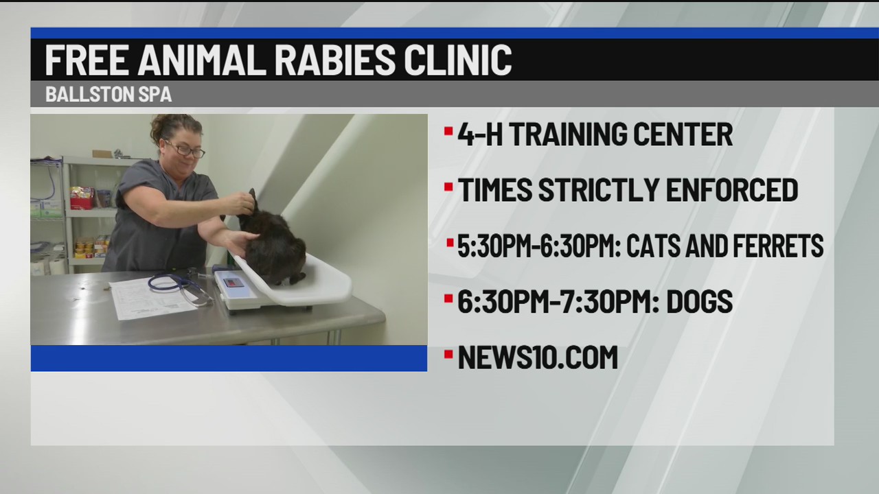 Free animal rabies clinic in Ballston Spa – NEWS10 ABC