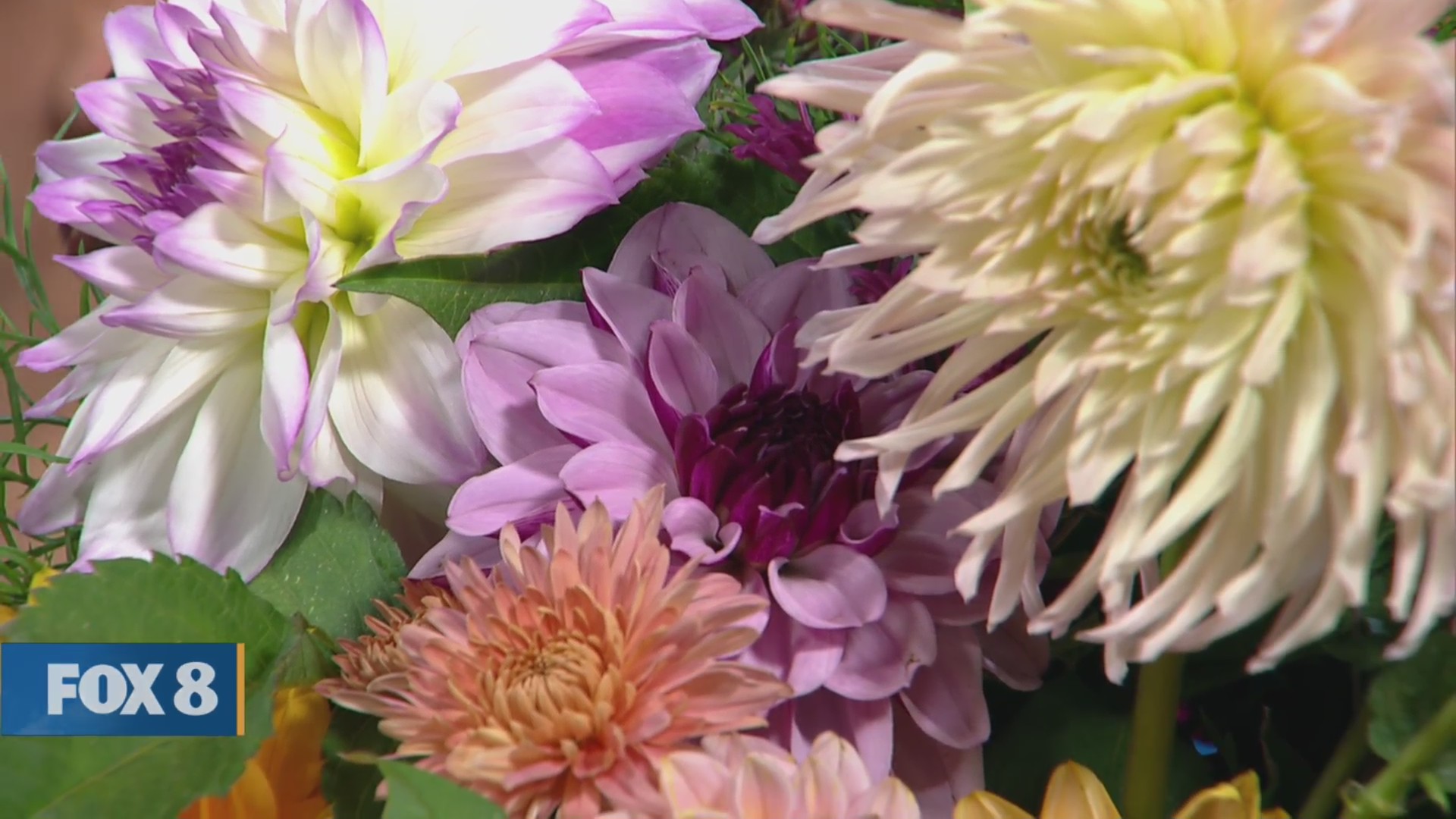 New Day Cleveland: Dottie’s Flower Farm – Fox 8 Cleveland WJW