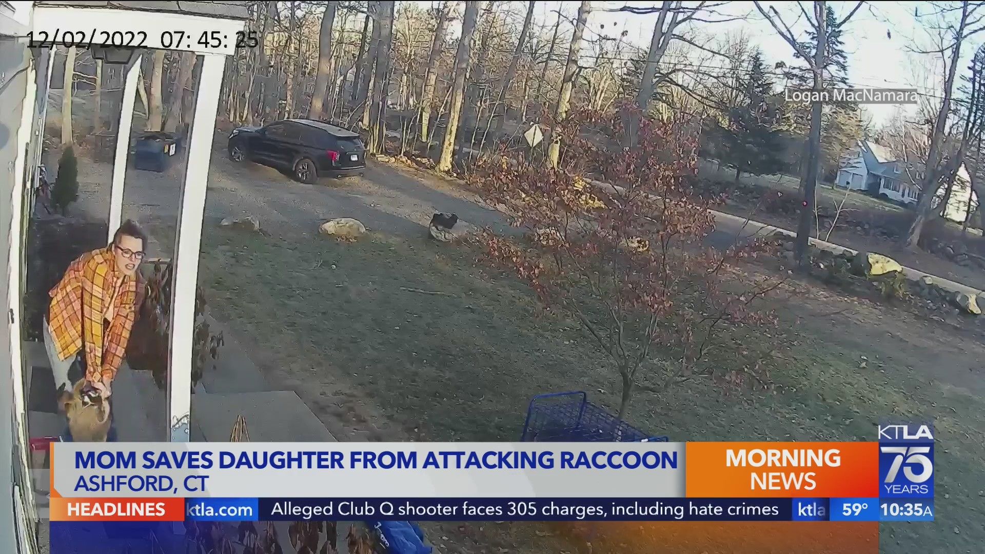 Mom Saves Daughter From Raccoon Ktla