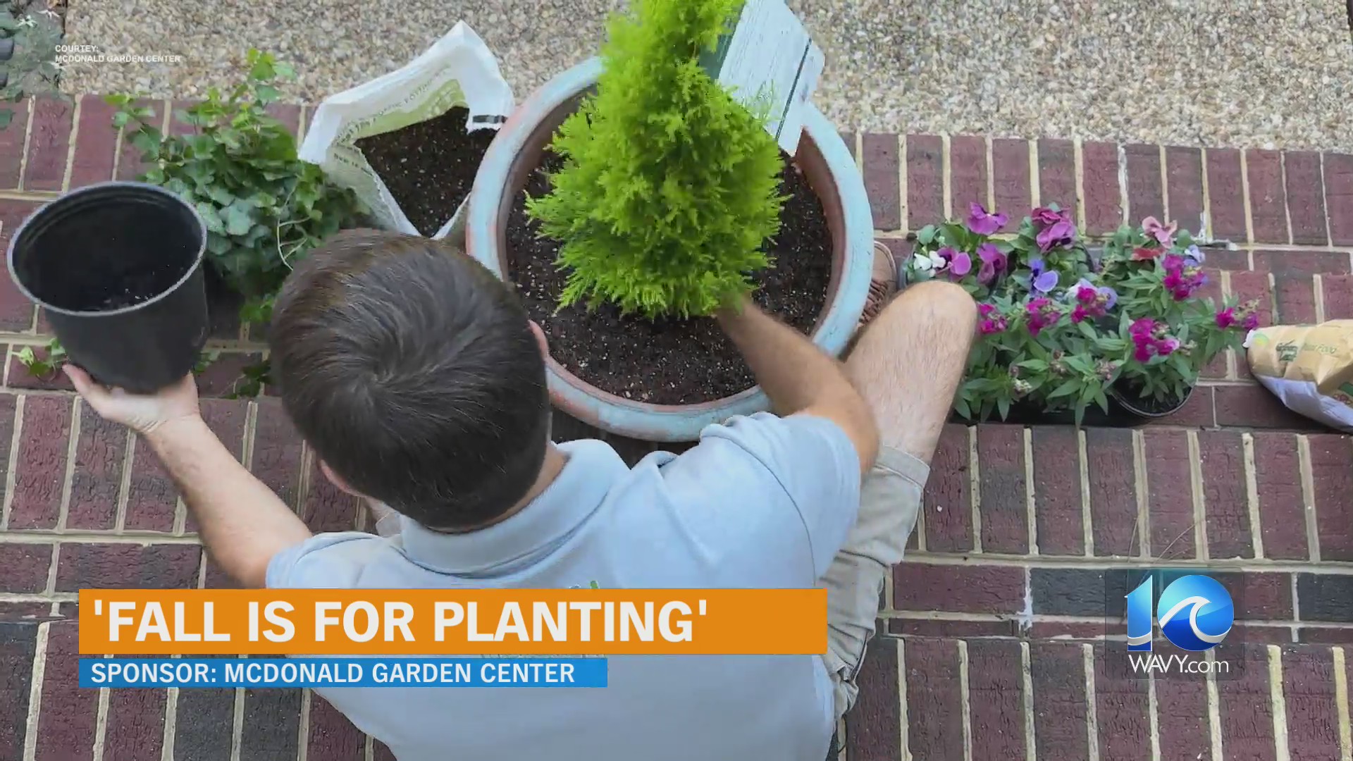 Fall is For Planting! – WAVY.com