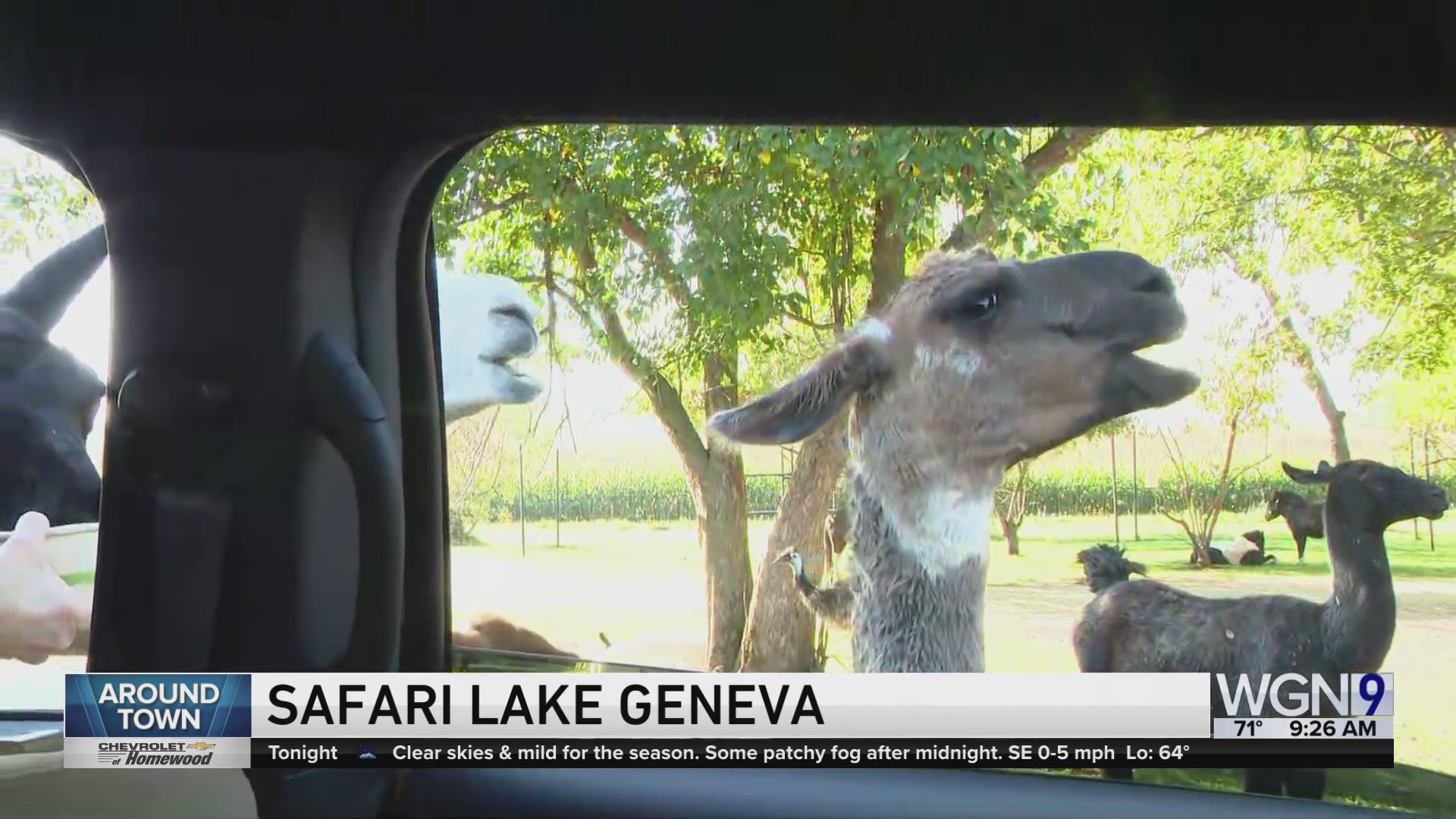 Around Town – Safari Lake Geneva – WGN-TV