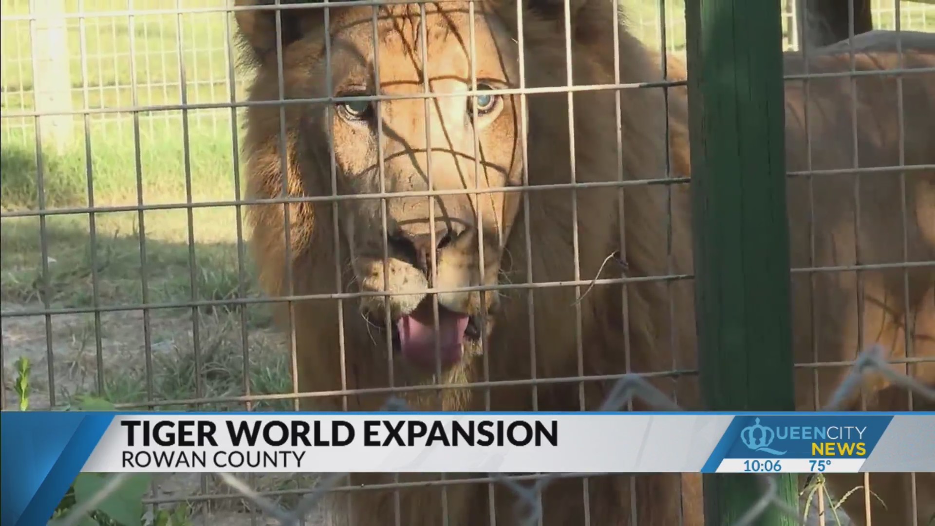 Photos: Rowan County zoo could get major makeover – Queen City News
