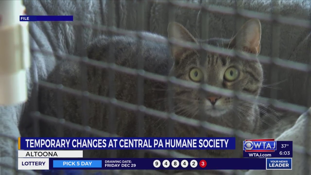 Central PA Humane Society changes hours due to COVID-19 – WTAJ – www ...