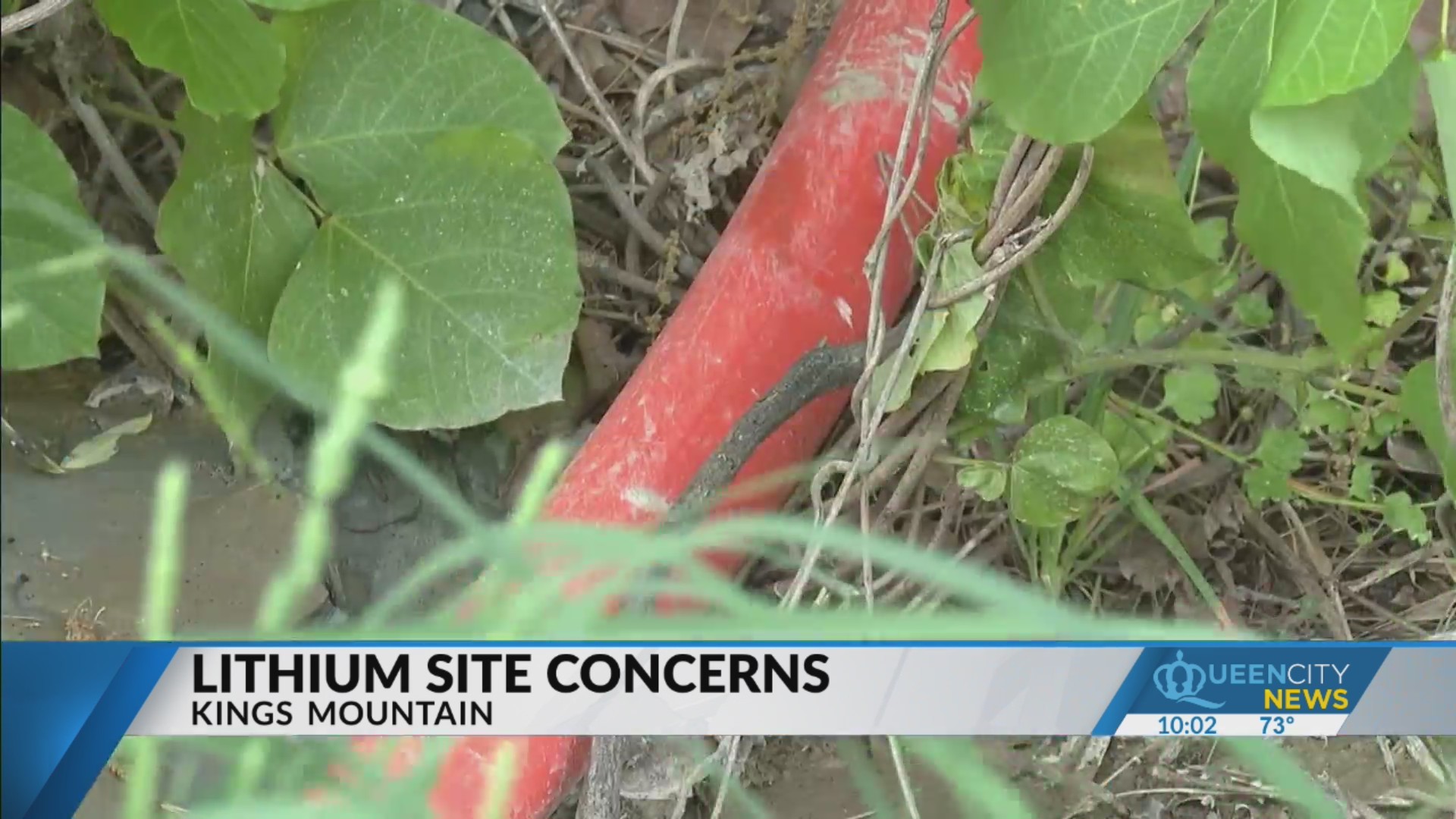 What is the sludge that’s appeared along a Kings Mountain trail ...