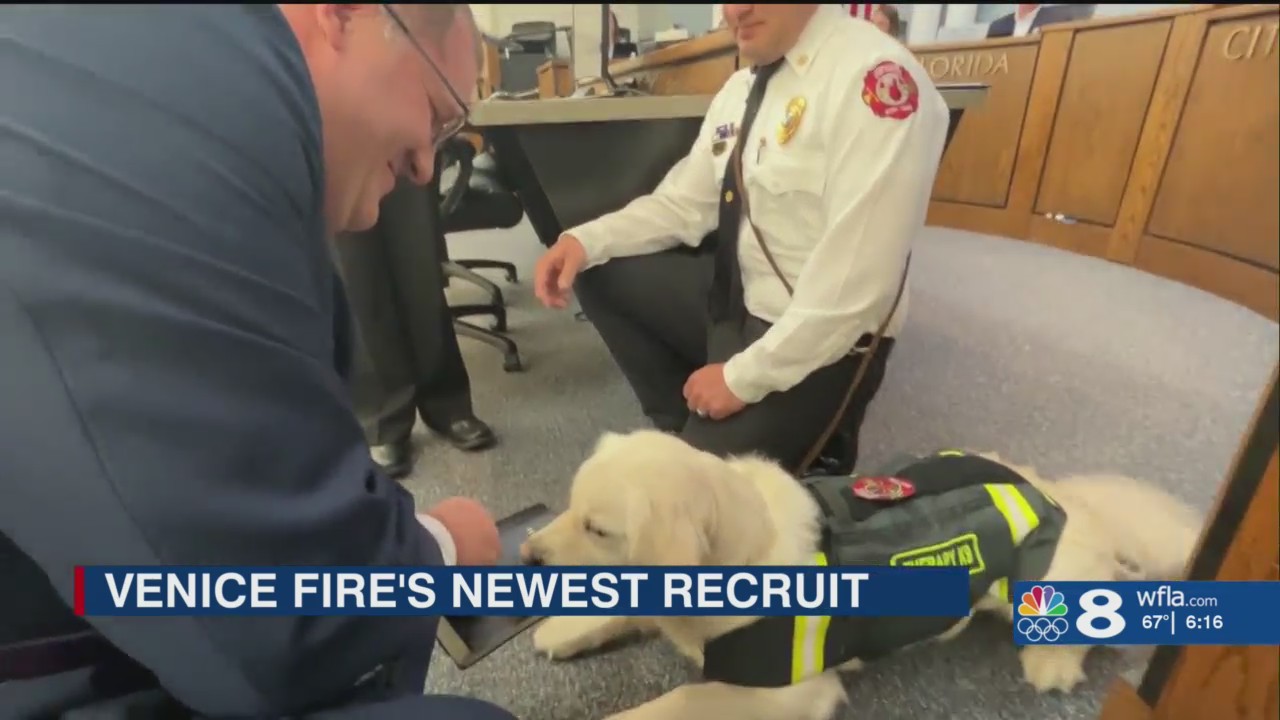 Venice Fire Rescue swears in newest 4-legged member, ‘Misty’ – WFLA