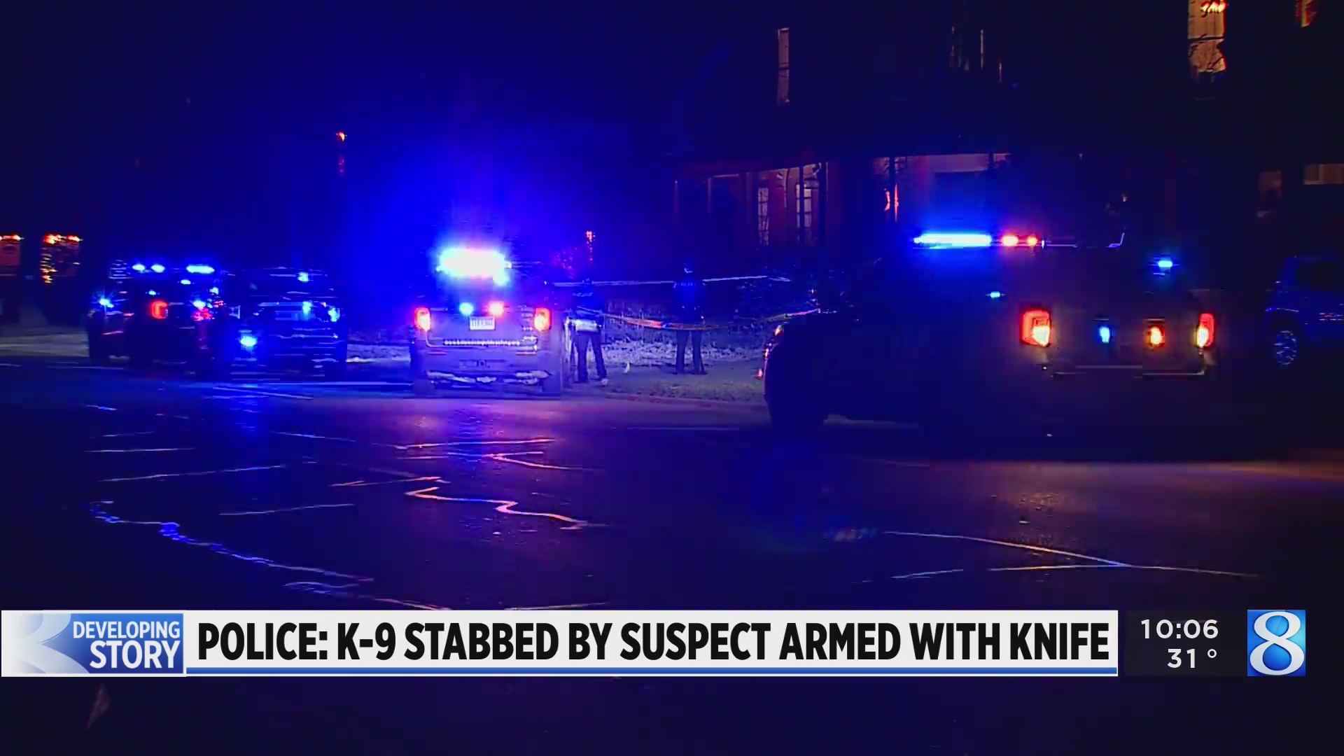 Police: K-9 stabbed by suspect armed with knife – WOODTV.com
