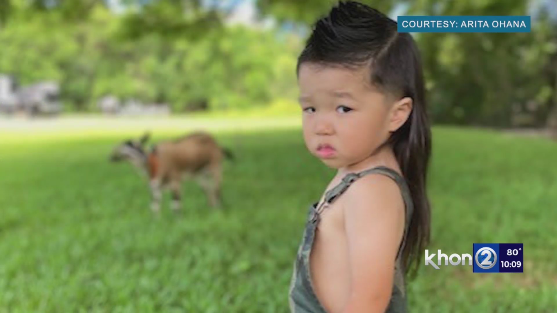 Vote now: Hawaii boy competes in epic hairdo competition – KHON2